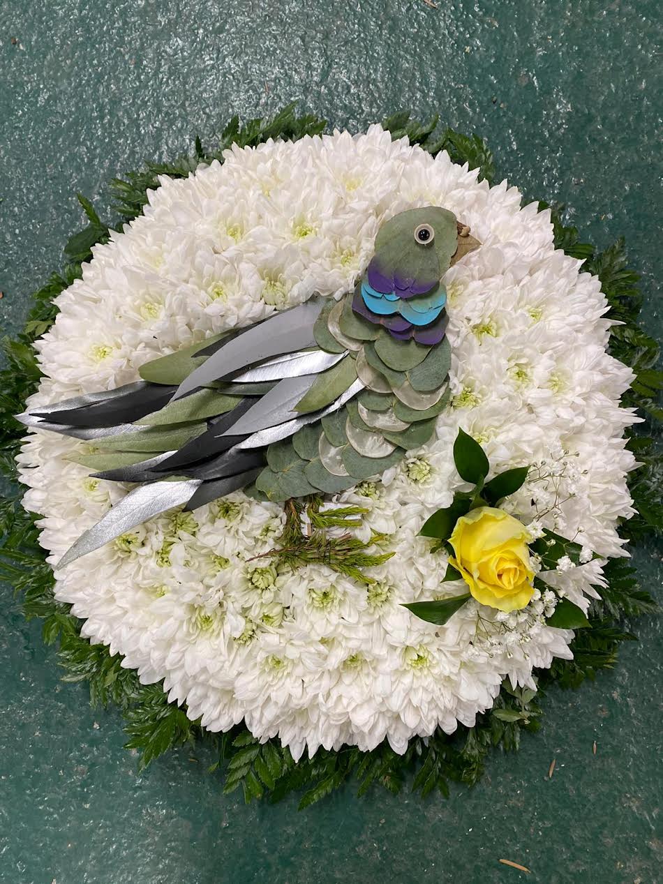 Bird Design Gallery - Spicer Designs Ltd