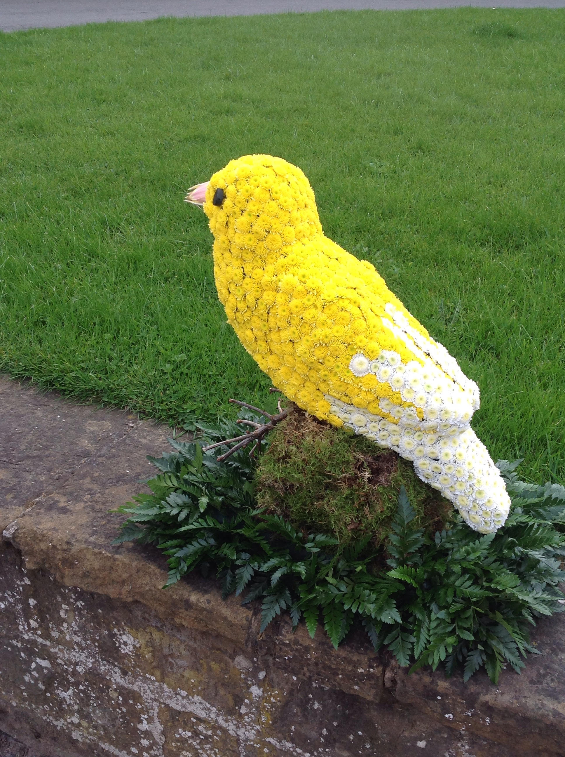 Bird Design Gallery - Spicer Designs Ltd