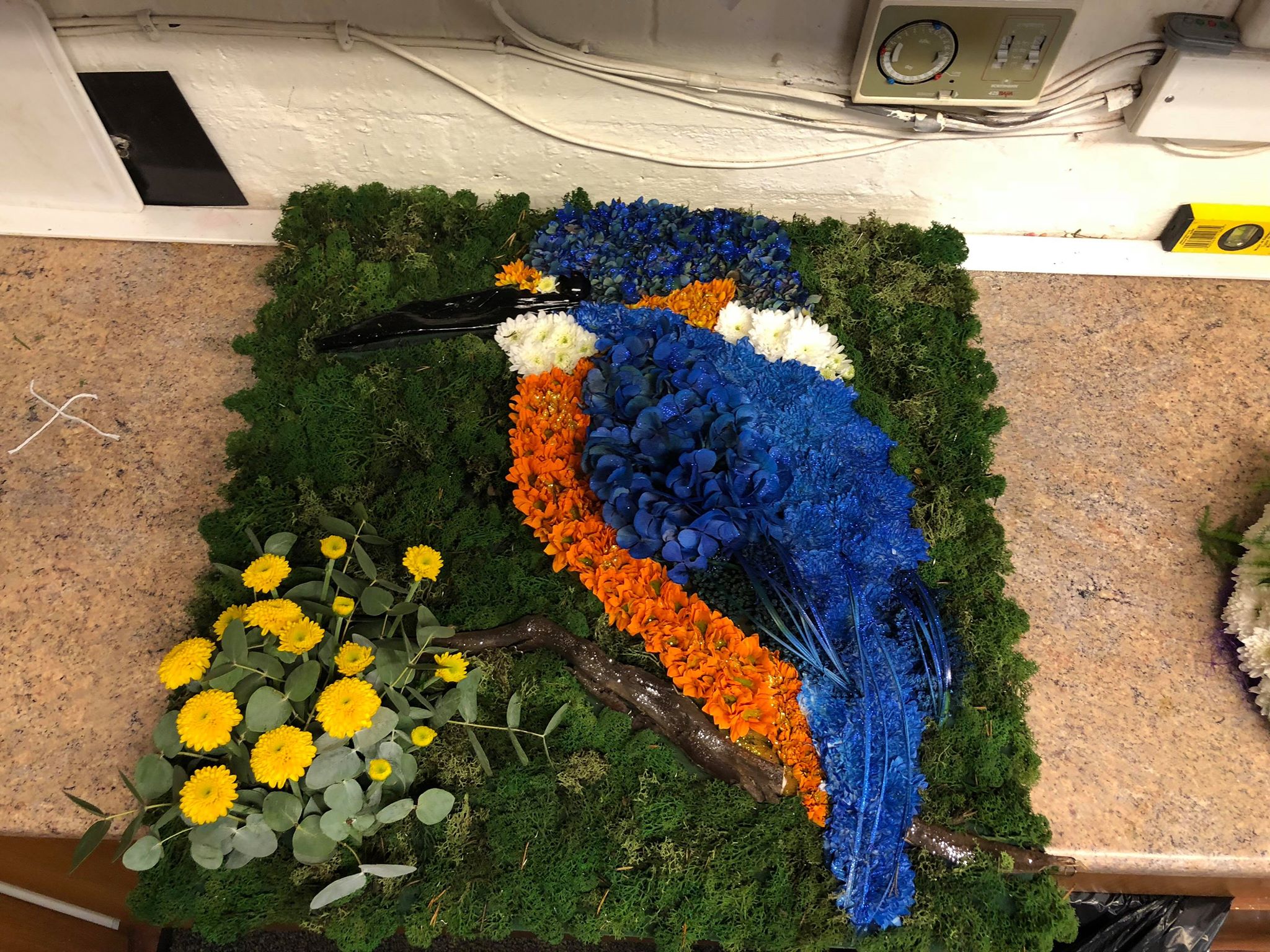 Bird Design Gallery - Spicer Designs Ltd