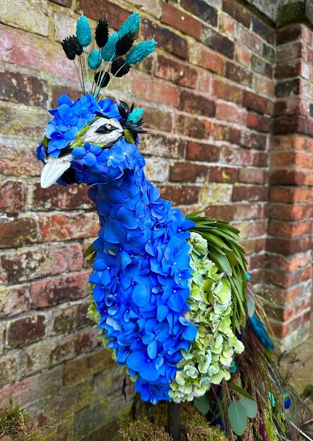 Bird Design Gallery - Spicer Designs Ltd