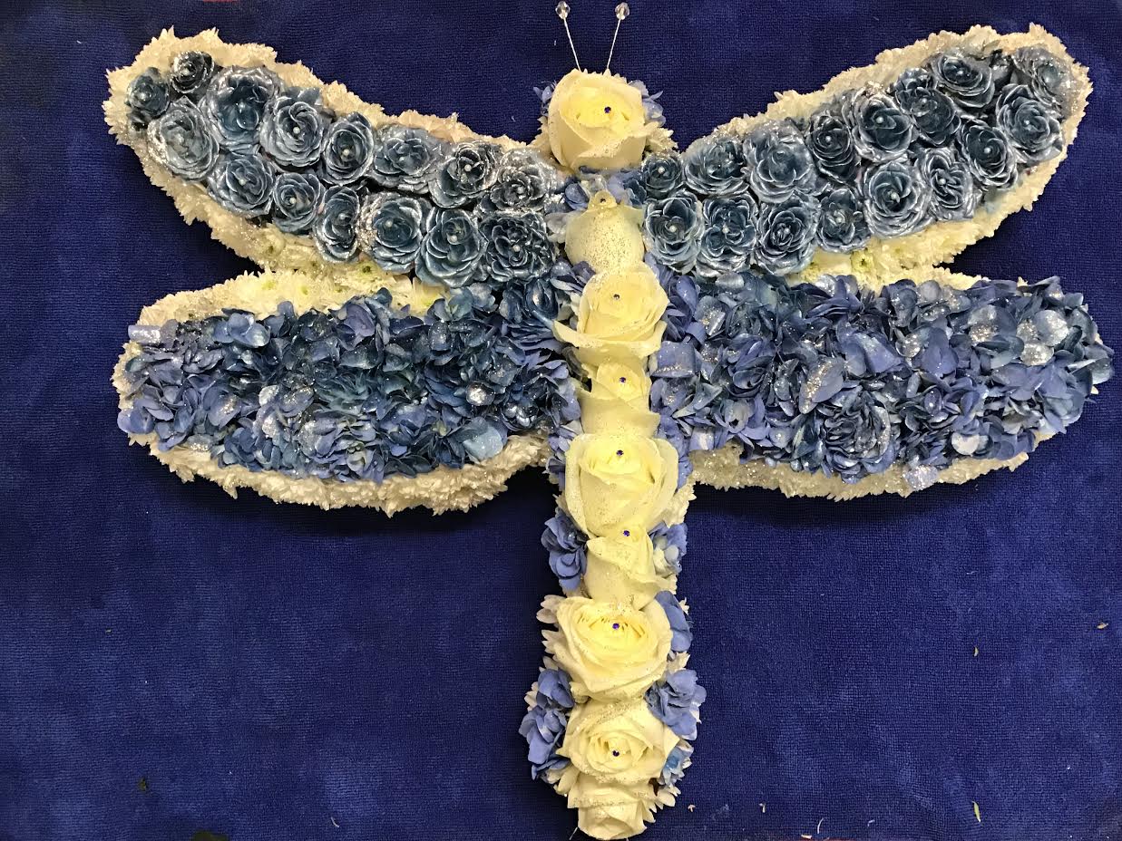Insect Design Gallery - Spicer Designs Ltd